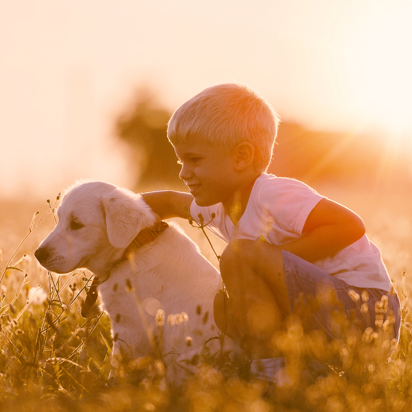 CW Capital Management (UK) | investments, savings, mortgages and protection