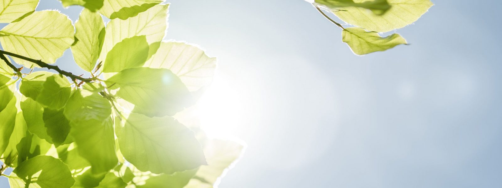 Home - Kenyon Clarke Financial Services