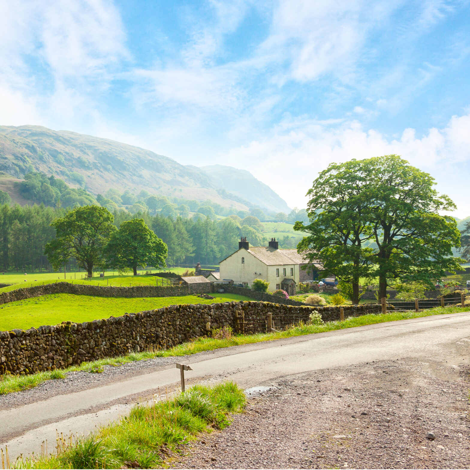 Home - Golden Gate Financial Planning & Wealth Management